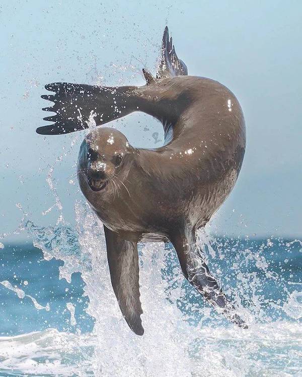 Daily Morning Awesomeness Best WTF Funny Pics and Amazing Randomness