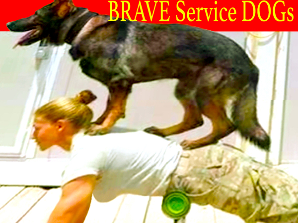 Funny Military Pictures and Videos | Cool Military Gifs - theCHIVE