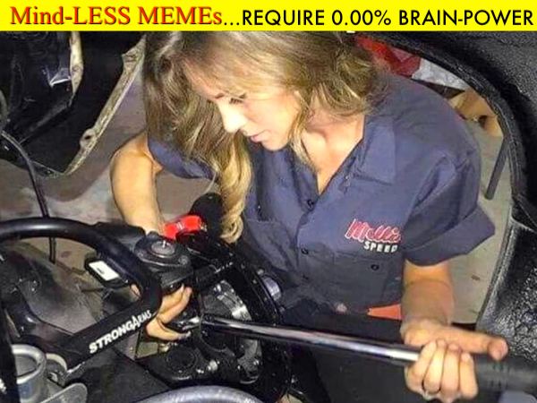 Mind-LESS Memes are Funny Stupid yet Too TRUE Top Humor Photo Captions