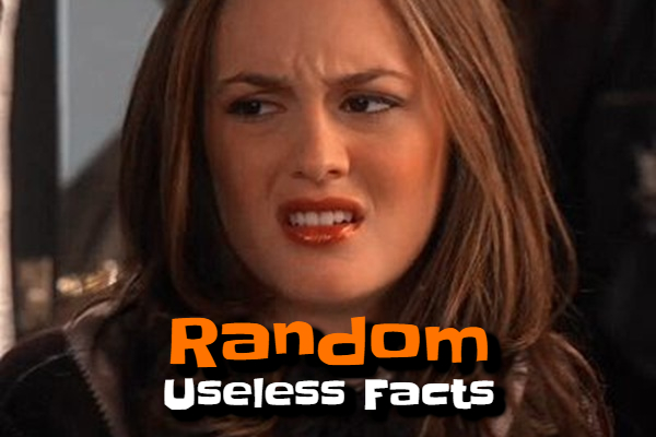 17 Random Facts I've Already Forgetten