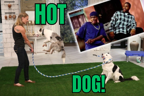 Well That's Doggone Impressive!