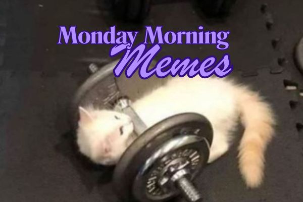 Monday Morning Memes 21
