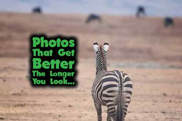 Photos That Get Better The Longer You Look... (life is awesome)