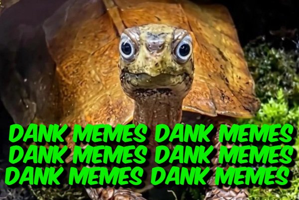 Top Notch DANK Memes Of The Week!!!