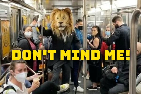 Daily Evening Randomness: Public Transit Fails (June 3 2026)