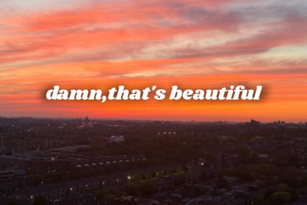 Damn, That's Beautiful (June 3rd, 2026)