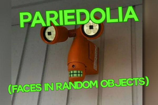 What's Better Than Faces In Random Objects???