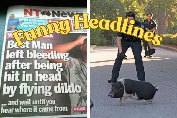Move Over Florida Man, These Headlines Take the Cake