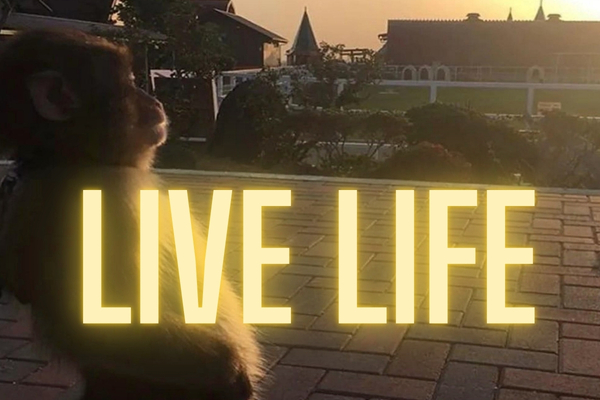 Your Reminder to Go Out There and Live a Little