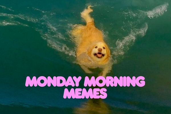 Monday Morning Memes 27
