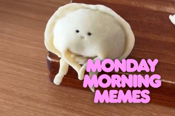 Monday Morning Memes 25