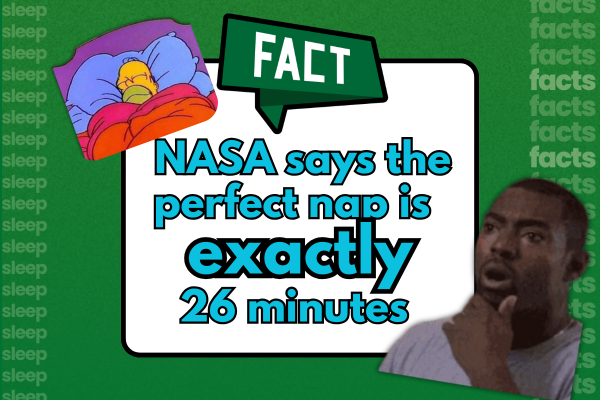 Sleep Facts Almost as Good as a Full Night's Rest