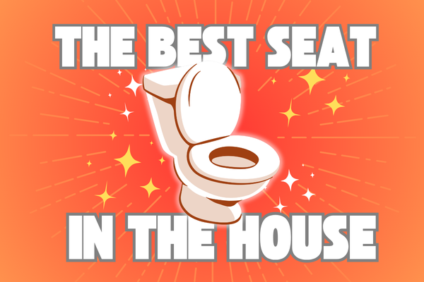 Ah, The Toilet: A Brief History of Humanity's Finest Seat