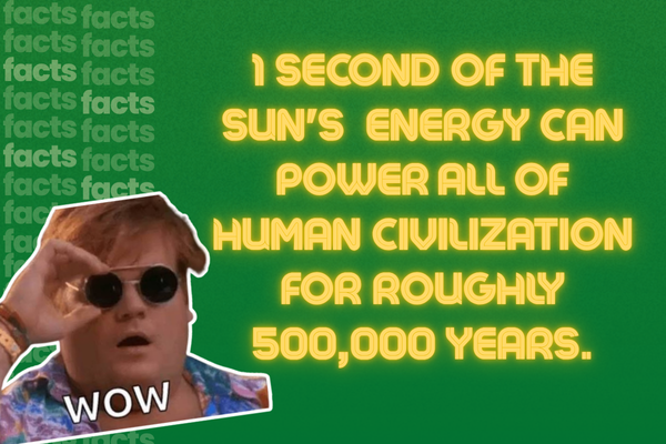 Facts That Sound Fake Af But Are 100000 True Thechive