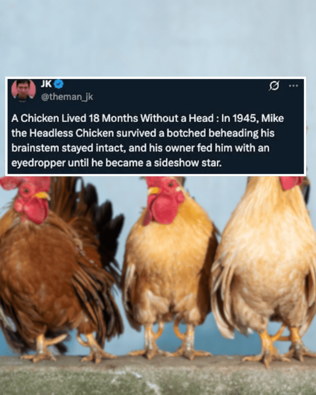 Facts That Sound Fake Af But Are 100000 True Thechive