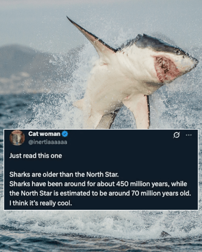 Facts That Sound Fake Af But Are 100000 True Thechive