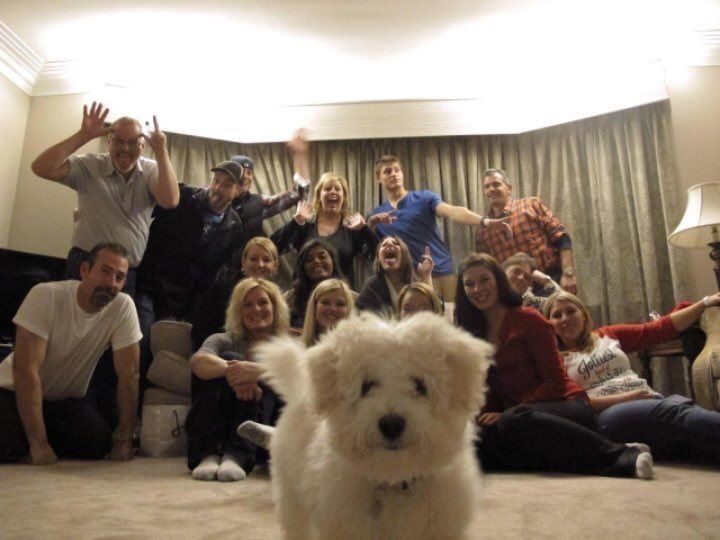I Present: Dogs!